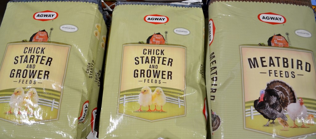 Chicken & Game Bird Supplies - Capital Agway - Chicken Feed